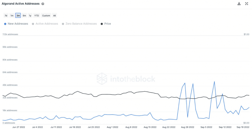 Algorand investors may need to lower expectations despite ALGO's 4x ...