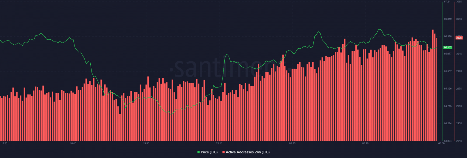 Long-term Litecoin [LTC] investors can profit from these levels if BTC ...