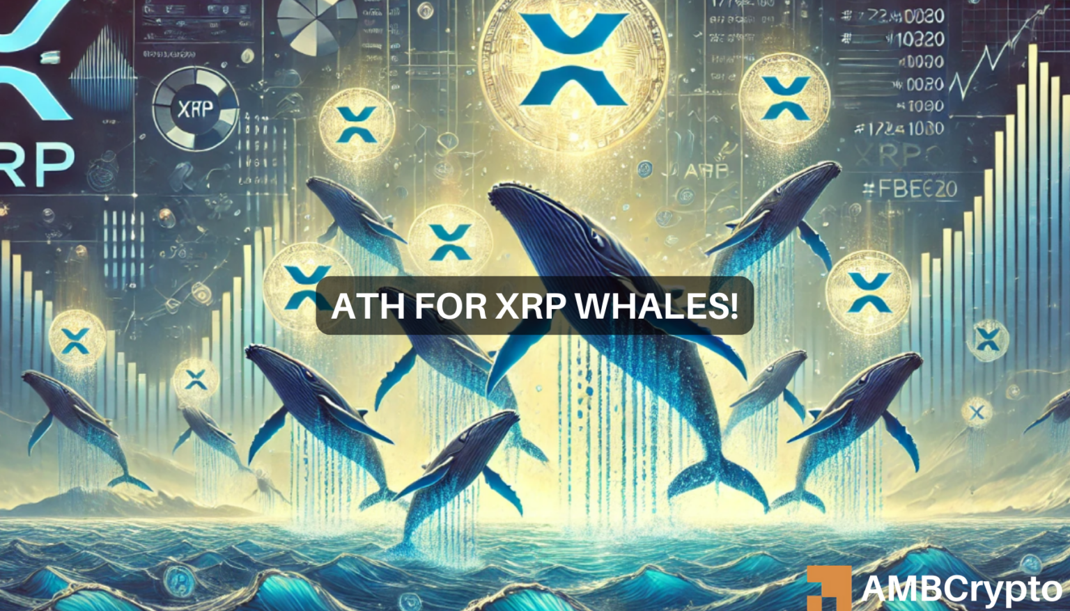 XRP whale activity reaches a new all time high