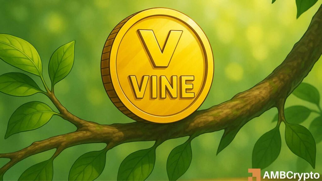 VINE coin's price action explained - Elon Musk's update and its impact ...