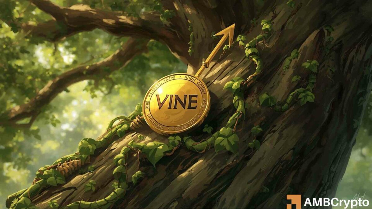 After 60% crash, can Vine Coin rebound 40%, rally to $0.10? - AMBCrypto