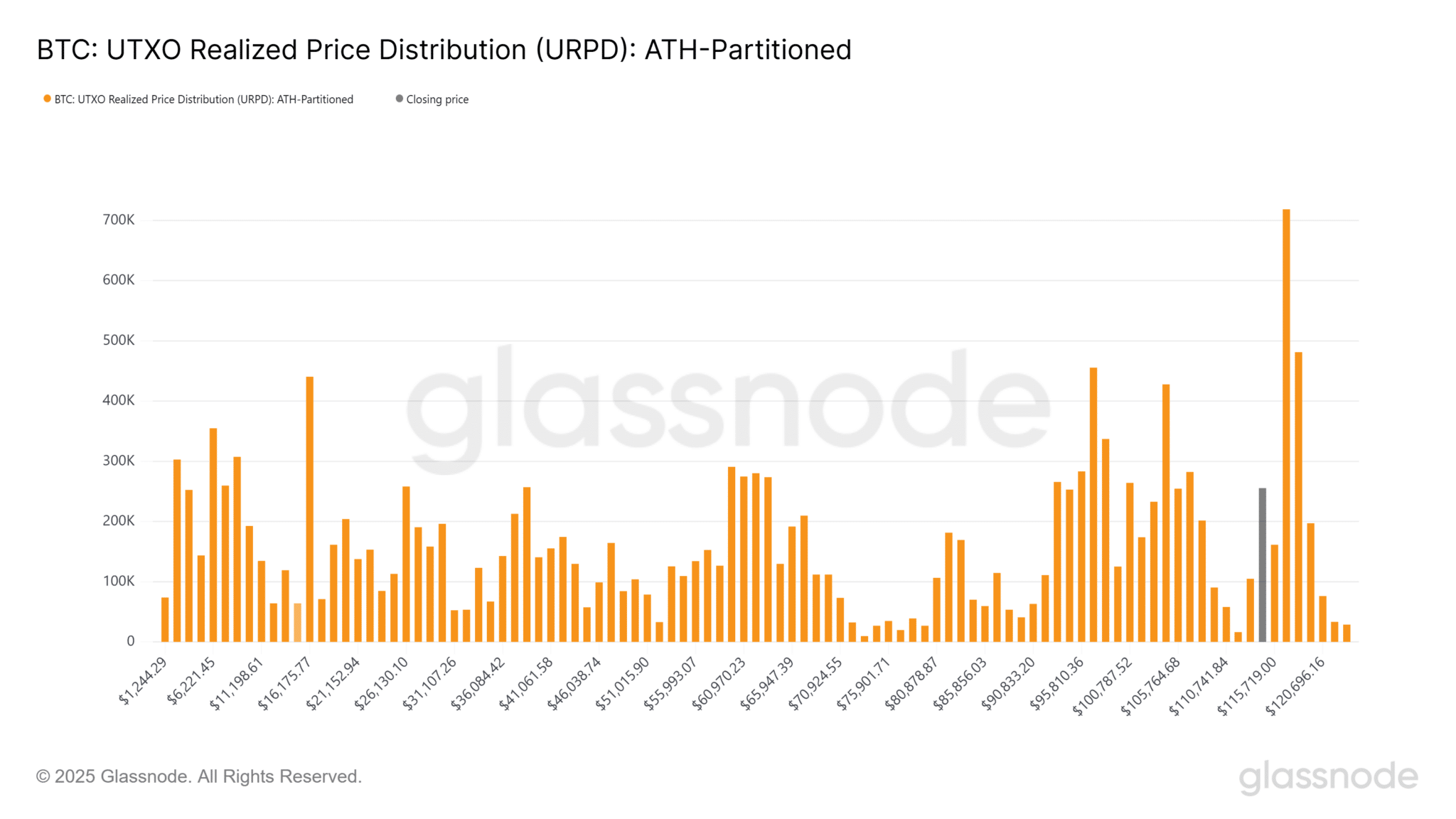 Examining Bitcoin FOMO and why a re-test of $110K could be next - AMBCrypto