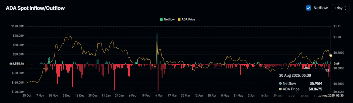 Cardano - Analyzing how THIS level could fuel a 14% ADA rally - AMBCrypto