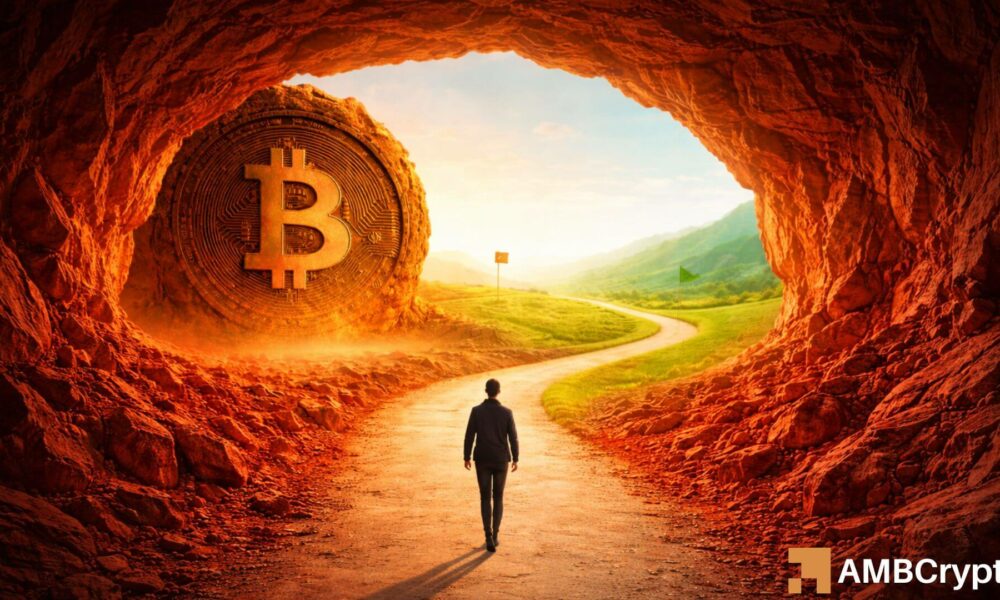 Bitcoin [BTC]: Path to $30k faces hurdles as whales drive March madness ...