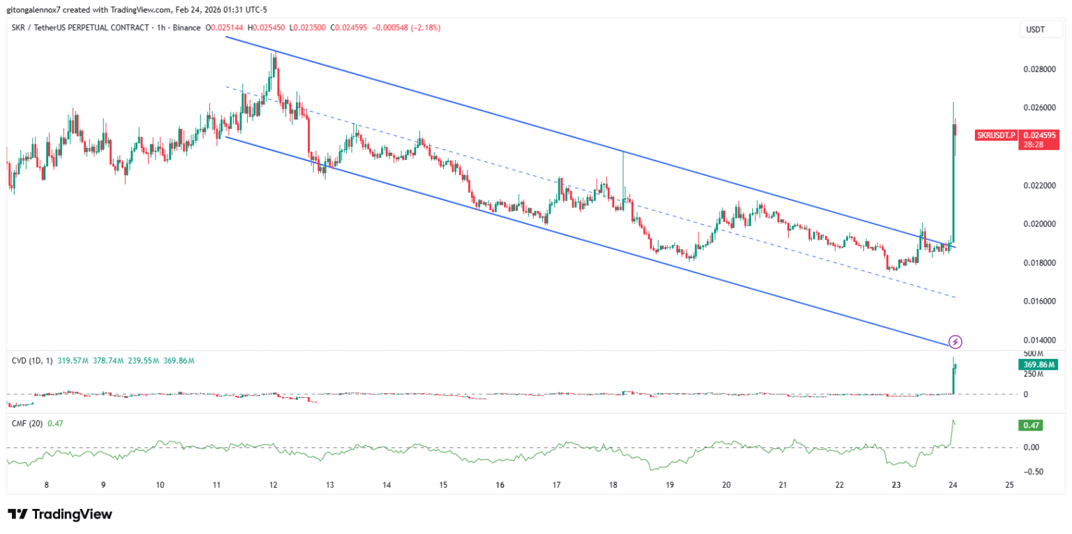 Seeker is up 40% in 24 hours: Will profit-taking trap SKR bulls ...
