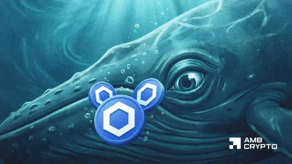 Chainlink whale wallets hit record highs! Will LINK's rally continue ...